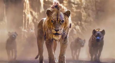 Lion King Characters Scar Mufasa And Scar Are Not Brothers Lion