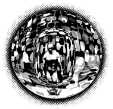 Sex And The Eight Circuit Brain Polymorphous Sexuality In Circuitland Reality Sandwich