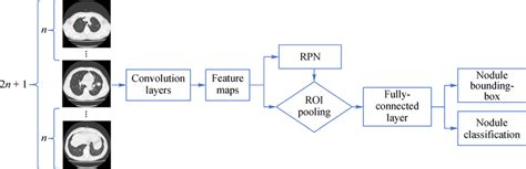 Structure Of The Detection Network The Region Proposal Network Is Used