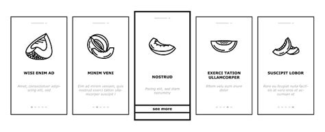 Melon Blewah Ikon Onboarding Buah Kuning Set Vektor Ilustrasi Stok