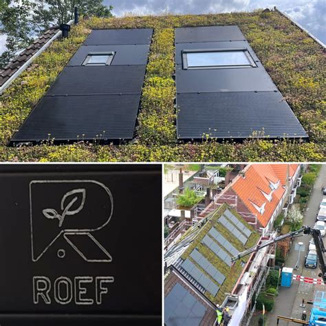 Speciale Zonnepanelen Voor Roef Dit Is Waarom Roef