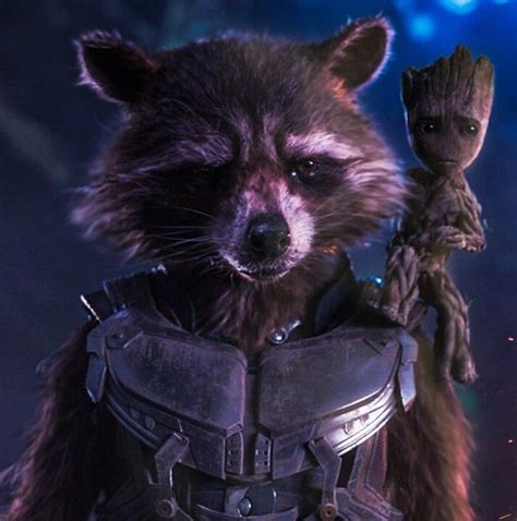 Rocket And Groot Guardians Of The Galaxy Guardians Of The Galaxy Gardians Of The Galaxy