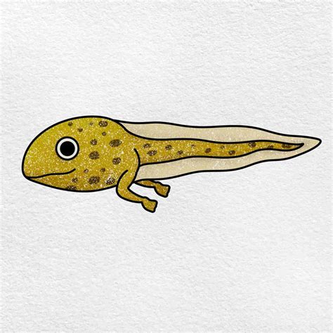 Draw Amphibians Helloartsy