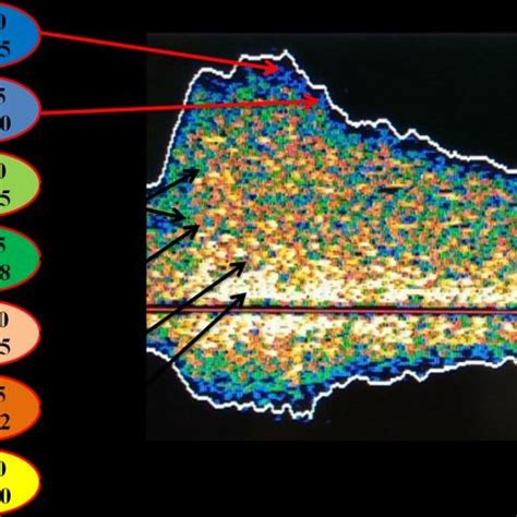 A Diagrammatic Conceptual Representation Of The Frequency Shift And Download Scientific Diagram