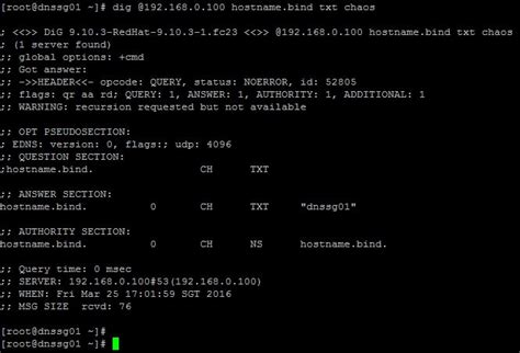 Spice Up Your Knowledge How To Check Hide Bind Version And Hostname