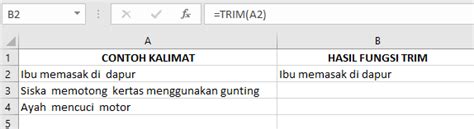 Rumus Fungsi “trim” Pada Microsoft Excel Dan Contohnya Portal