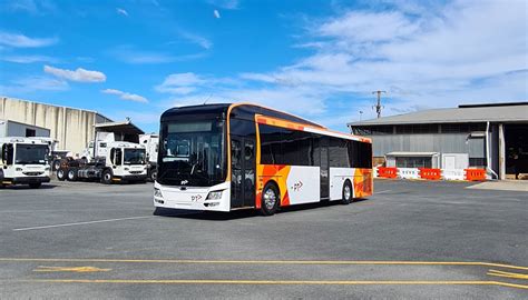 Global Bus Ventures Bus And Coach Design And Manufacture Nz