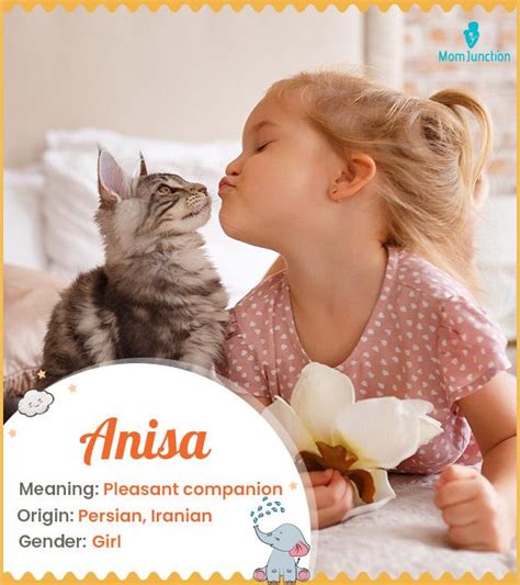Explore Safina Meaning Origin And Popularity