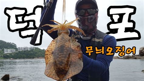 계속해서 나와주네요~ 거제도 덕포 봄 무늬오징어낚시 Youtube