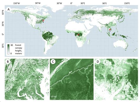 Leveraging The Synergistic Power Of Landsat And Gedi Data To Support Sustainable Forest