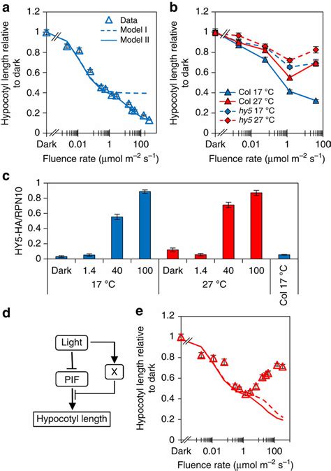 Suppression Of Pif Activity By X Is Required To Repress Hypocotyl