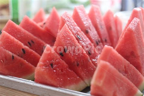 수박 자른수박 수박조각 과일 여름과일 사진이미지일러스트캘리그라피 편집쟁이작가