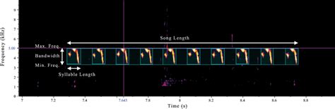 An Example Of Measurement Of Song Variables In The Spectrogram Download Scientific Diagram