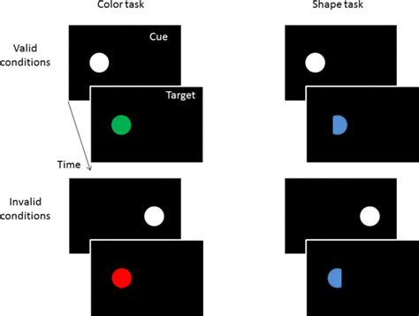 Schematic Examples Of The Sequence Of Events In Valid And Invalid Download Scientific Diagram