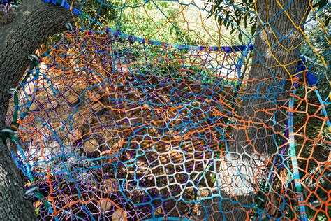 Seven Arrows Tree Weave — Tree Weaves