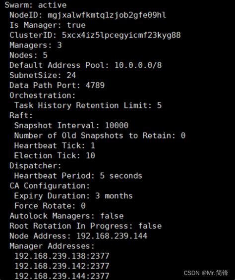 Docker Swarm Docker Swarm 模式 Csdn博客