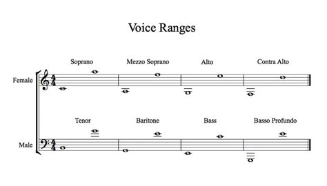 What Is An Octave In Music Definition Uses And Examples