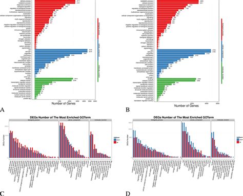 Gene Ontology Analysis Of Deg The Go Classification Results Are Shown
