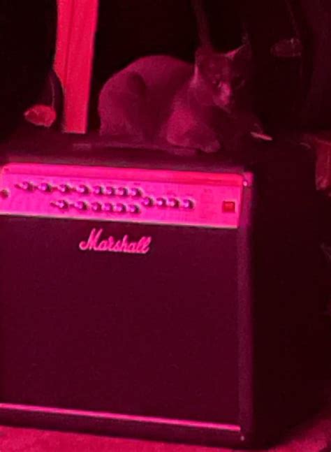 The True Purpose Of A Marshall Amp R Marshall