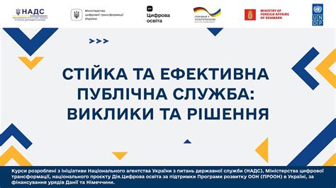 Стійка та ефективна публічна служба виклики та рішення Youtube