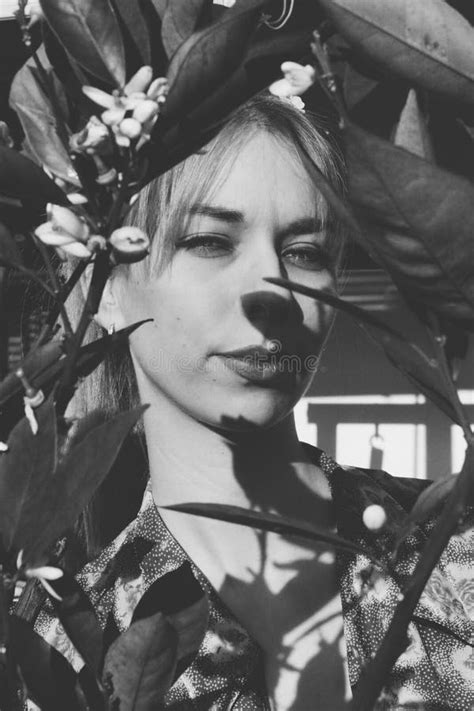 Beautiful Girl With Blue Eyes Posing Hard Light Photography Stock