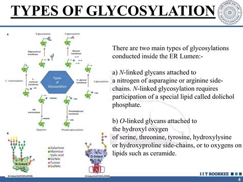 Glycosylation Pptx
