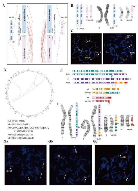 Next Generation Sequencing Oandg Cuhk