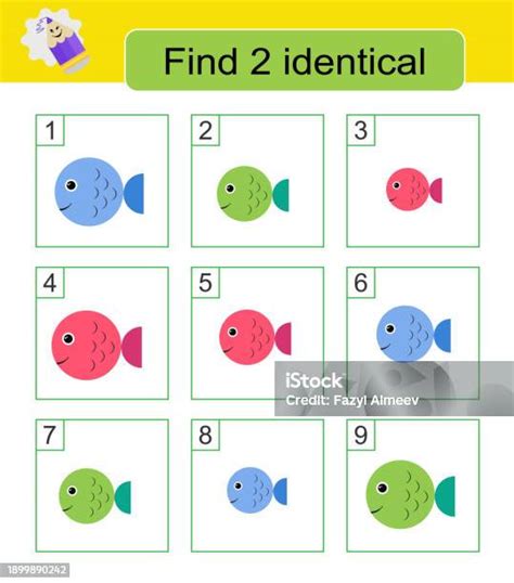 재미있는 퍼즐 게임 두 마리의 동일한 물고기를 찾아야 합니다 개체 그룹에 대한 스톡 벡터 아트 및 기타 이미지 개체 그룹 검사 보기 교육 Istock