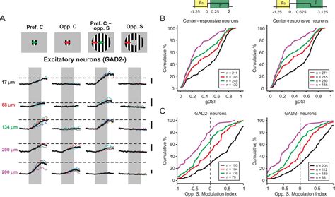 Figures And Data In Bidirectional Encoding Of Motion Contrast In The Mouse Superior Colliculus