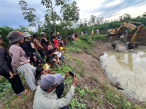 ដំរីព្រៃ មួយក្បាល ត្រូវបានប្រទះឃើញងាប់ ក្នុងរណ្តៅ ក្នុងដែន ជម្រកសត្វ ព្រៃ កែវសីមា
