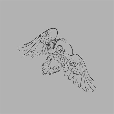 وکتور سیمرغ