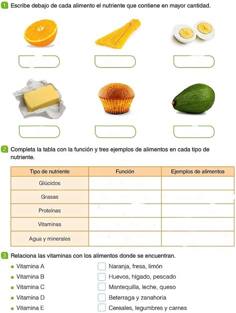 La Felicidad De Seguir Aprendiendo SesiÓn 7 Conociendo Los Tipos De