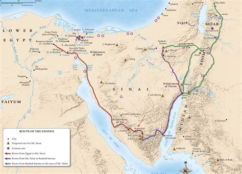 Tracing The Path Of Exodus A Geographical Journey Through History