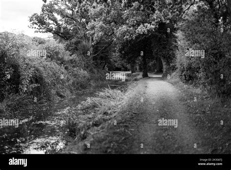 A Repaired Reclaimed Section Of The Wilts And Berks Canal Near
