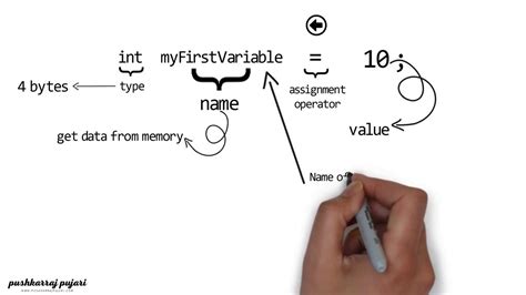🆕 What Is A Variable 👉 What Are Variables Computer Programming Youtube