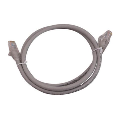 Grey D Link Patch Cord At Best Price In Mumbai By Rays Network Solutions ID