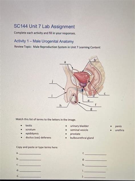 Solved SC144 Unit 7 Lab Assignment Complete Each Activity Chegg