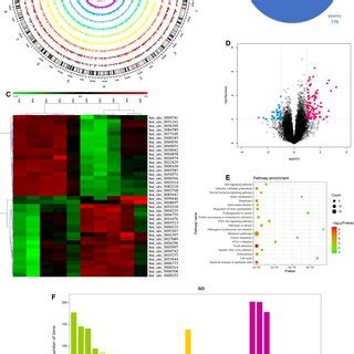 Analysis Of Microarray Profile Between PE And NP A Circos Plot Download Scientific Diagram