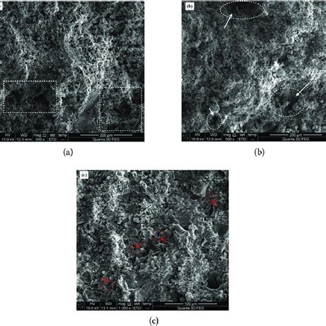 Pdf The Significance Of Dispersion Of Nano Sio2 On Early Age