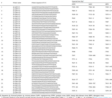 Primer Sequences For Long Range Pcr Amplification And Expected Amplicon Download Scientific