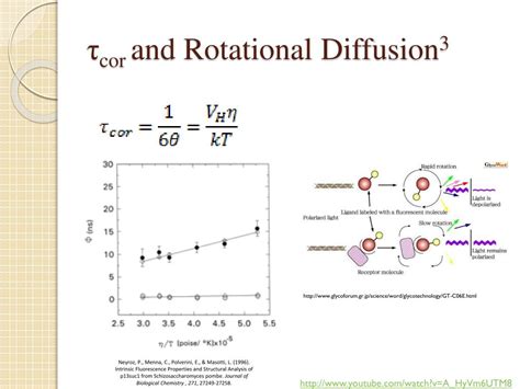 Ppt Fluorescence Depolarization Powerpoint Presentation Free Download Id5847426