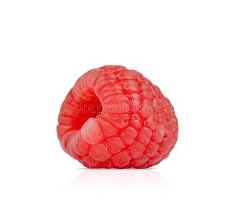 Single Raspberry Isolated Stock Image Image Of Closeup