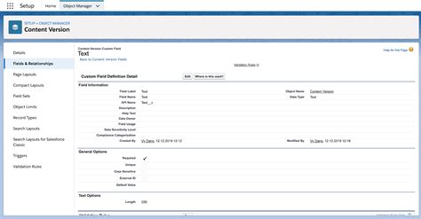 How To Fix Most Common Issues In Salesforce Beginners Guide Part 1