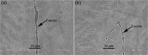 Microstructures Near Fracture Surface At 700°c With A Strain Rate Of