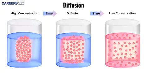 Diffusion Definition Types Causes Factors Examples And Significance