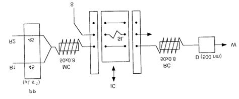 Flow Diagram Of The Flow Injection System R1 0 1 W V Potassium Download Scientific Diagram