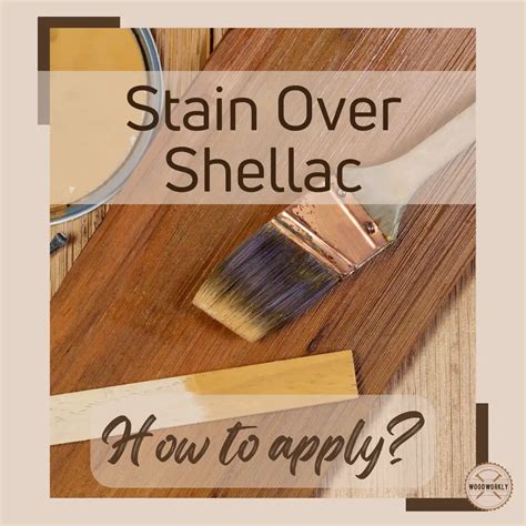 Can You Stain Over Shellac Heres The Truth 2025