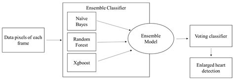 An Efficient Lightweight Tiny 2d Cnn Ensemble Model To Detect