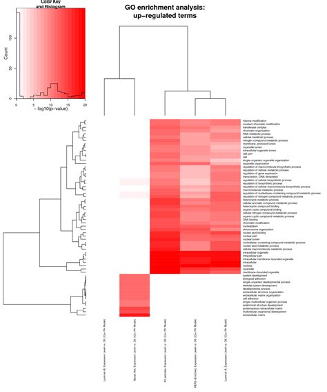 Data Visualization And Biology Fios Genomics