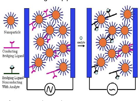Figure 1 From Overview Nanoparticle Based Detection High Sensitivity